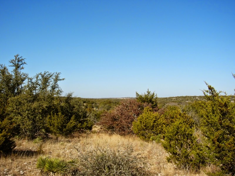 Rockin' P Ranch: Welcome to the Rockin' P Ranch