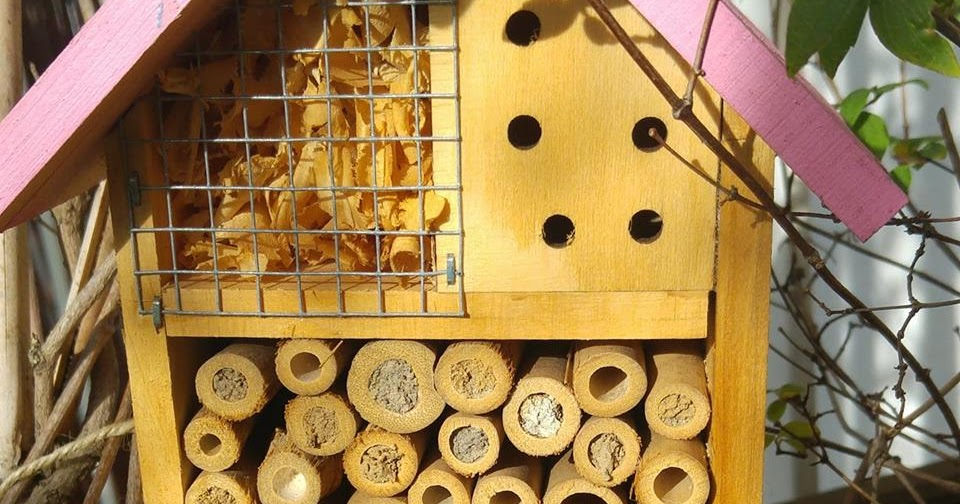 OAZA ZIELENI: Murarki ogrodowe