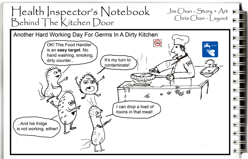 Health Inspector's Notebook: Public health threats posed by unsafe ...