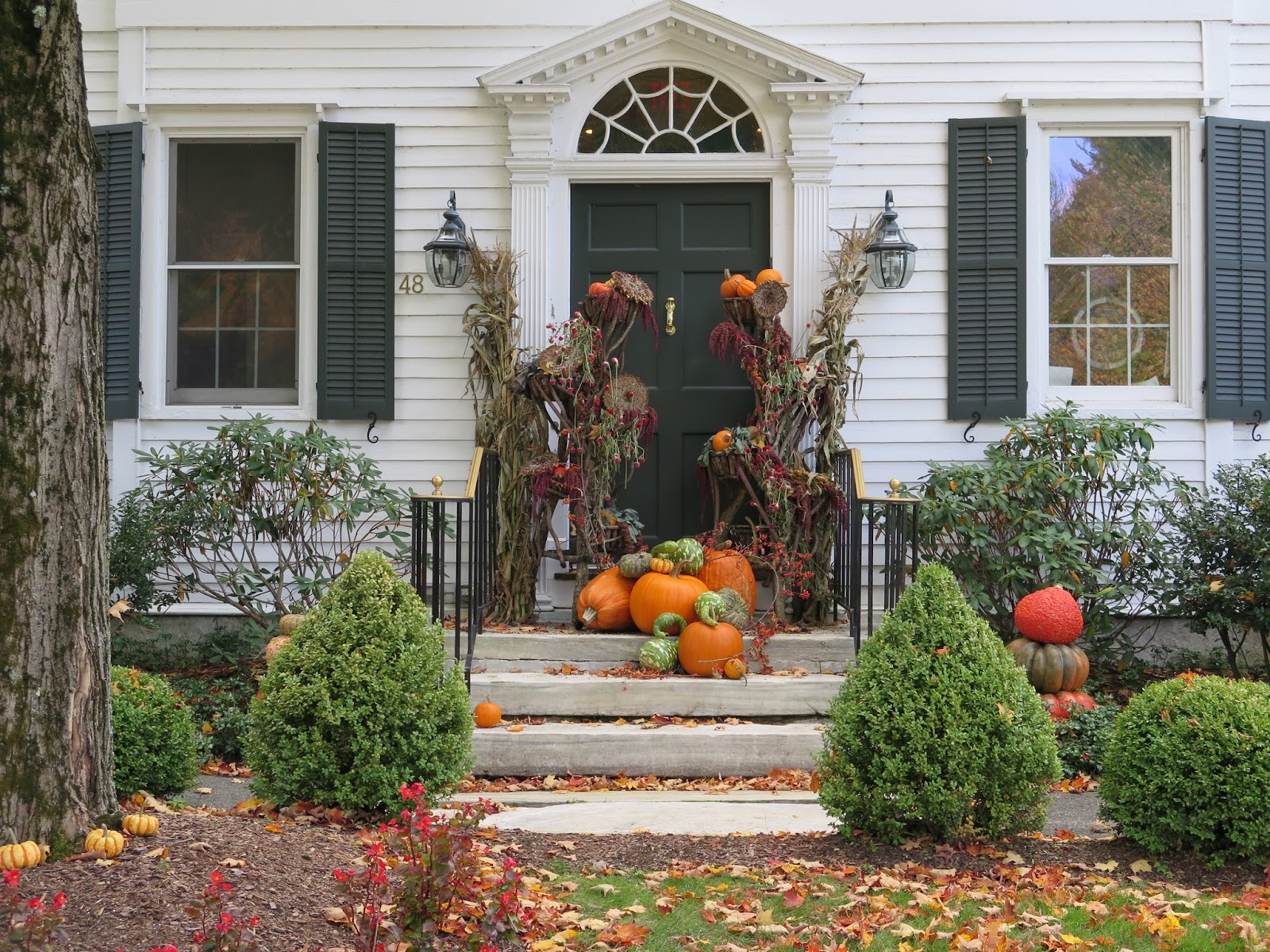 Ciao Domenica: A New England Fall