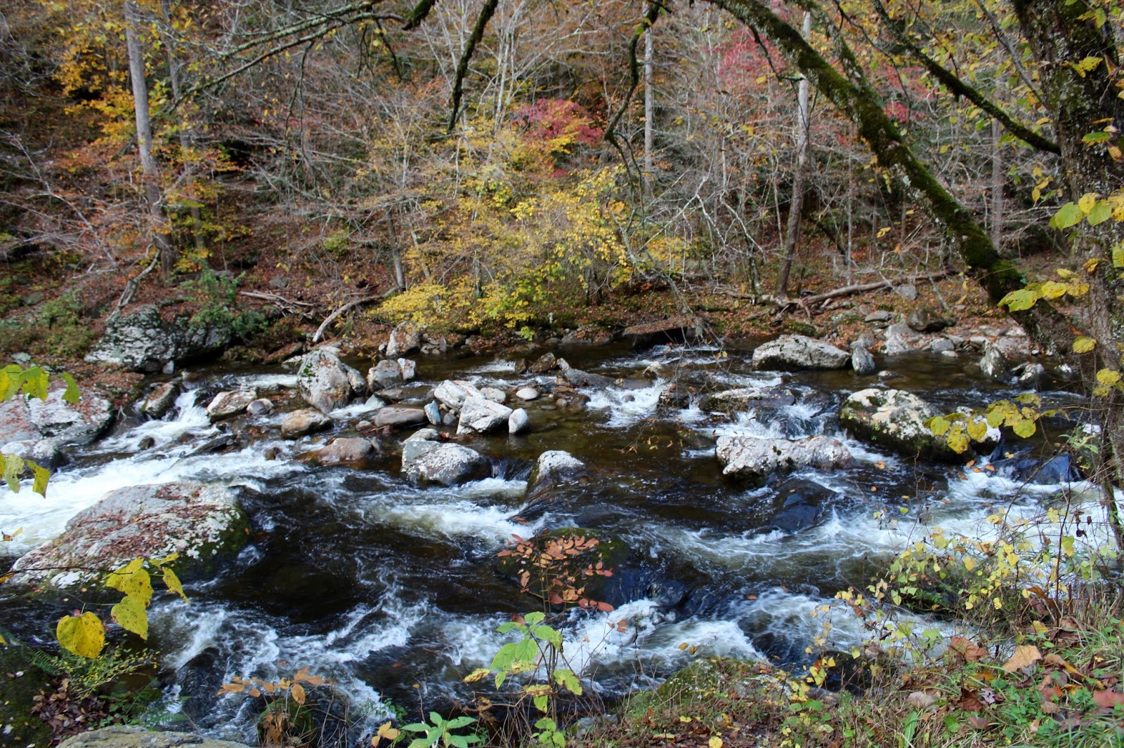 a sunny side of southern: FALL IN TENNESSEE