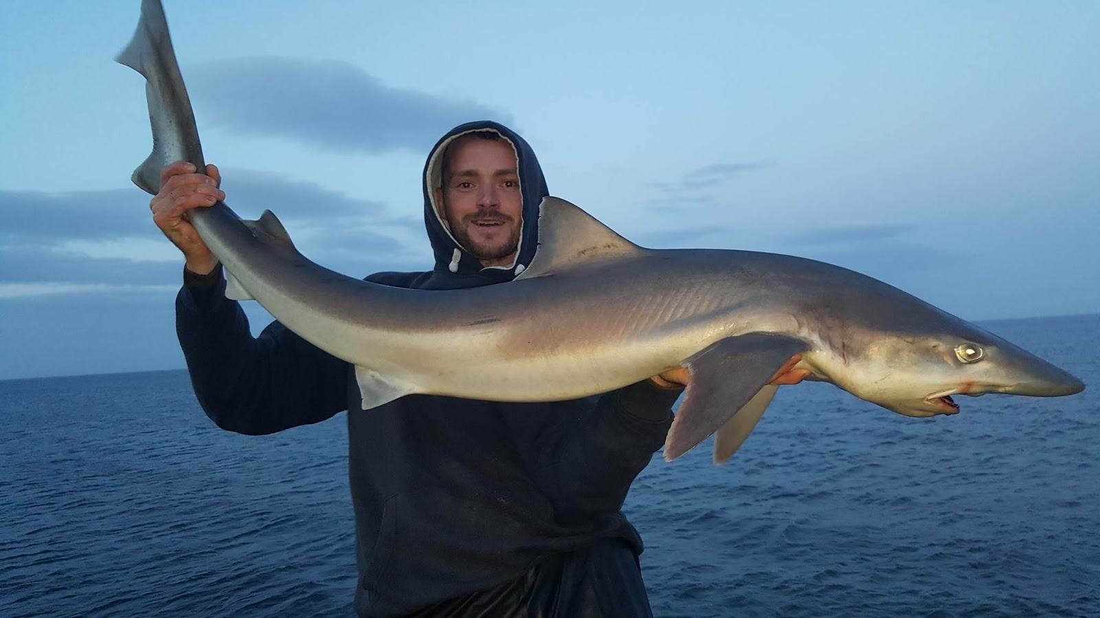 Fishingmegastore Fish of the Month Entry August 2016 - Shore Tope!