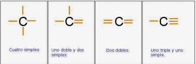 Quimica Orgánica BIO404: Aspectos fundamentales de la química del carbono