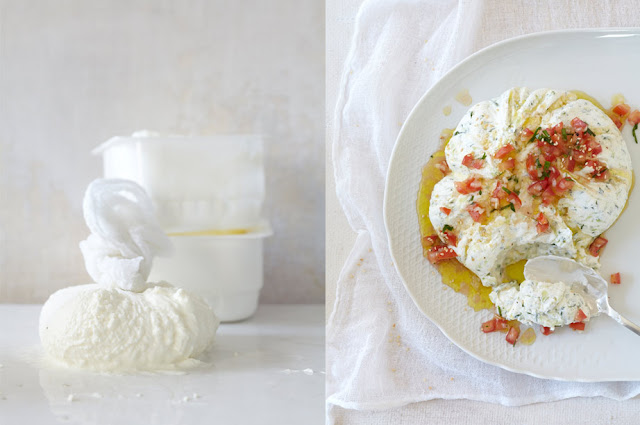 D I E T L I N D W O L F: quark