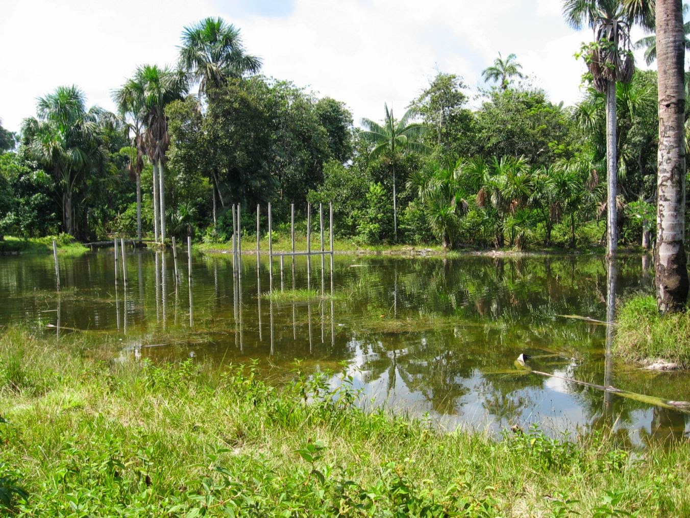 CON NUESTRO PLANETA A CUESTAS: ECOSISTEMAS TERRESTRES DE COLOMBIA