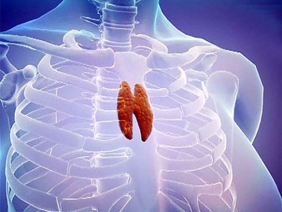 Doğala Özdeş Sanal Alem: Timüs bezi; Mutluluk ve Sağlık