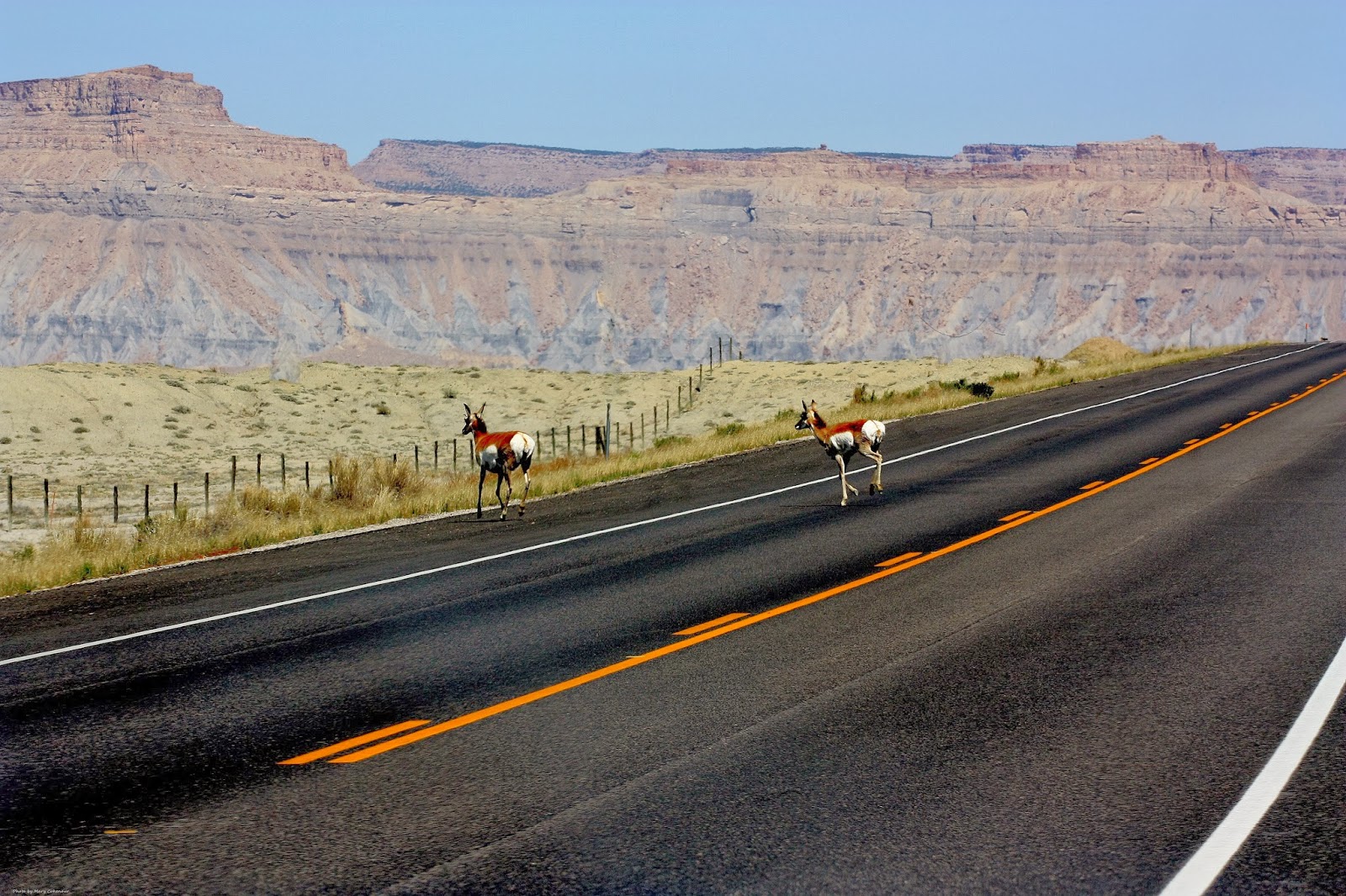 The Southwest Through Wide Brown Eyes: Oh Swell, the San Rafael Reef.