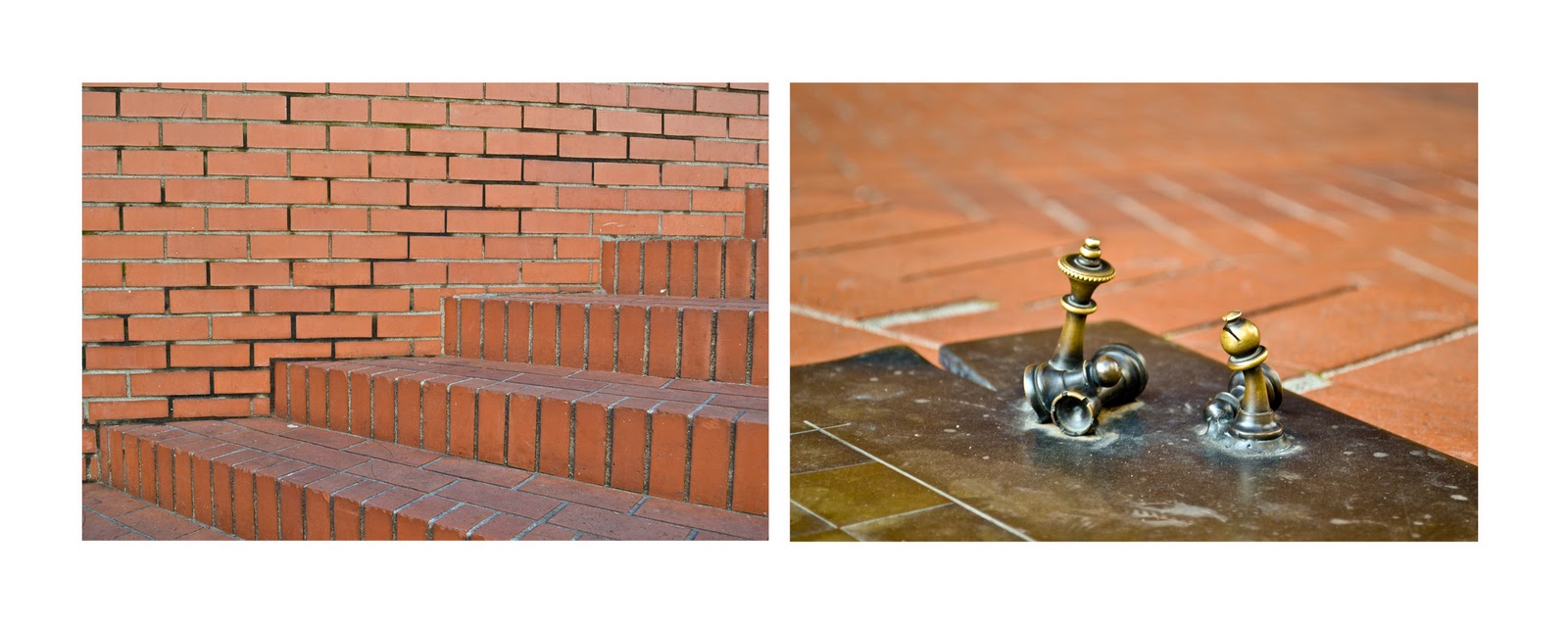 Callie McDonald's photo blog