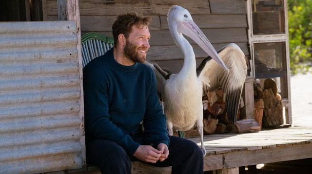 At Darren's World of Entertainment: Storm Boy: DVD Review