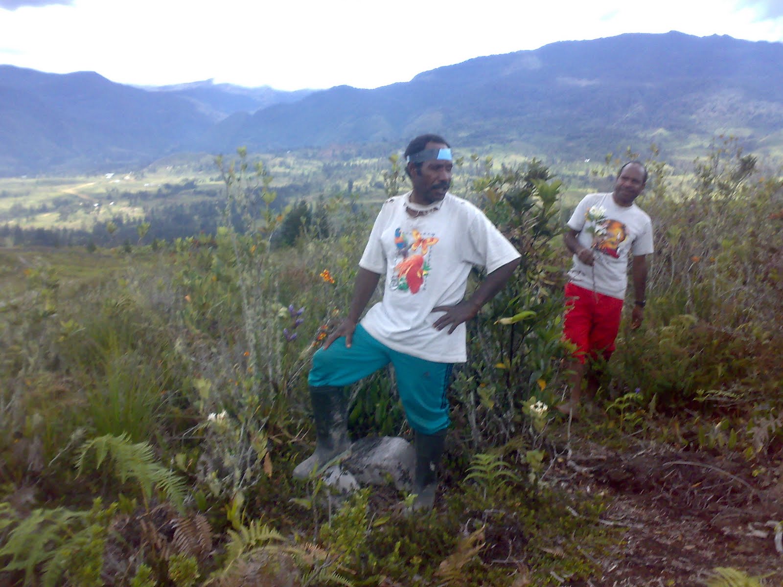 Alam Ilaga Puncak Papua