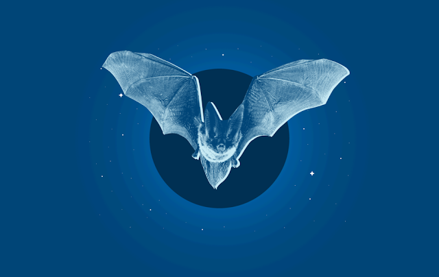 The Cities Swooping in to Save Bats