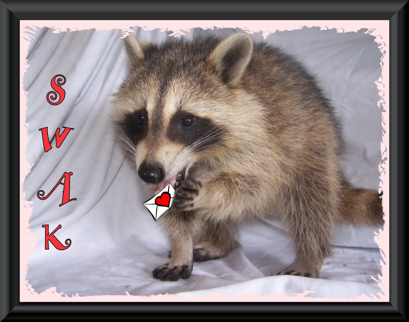 The Laughing Raccoon: Happy Valentine's Day!