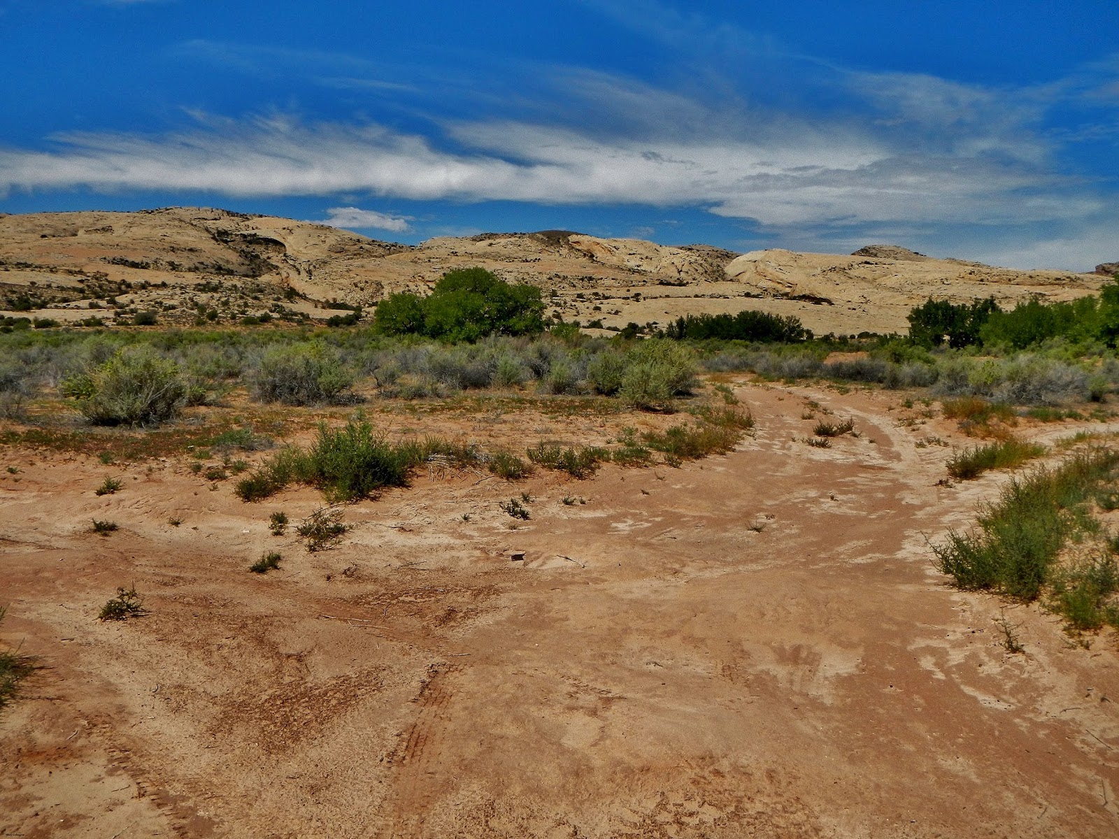 The Southwest Through Wide Brown Eyes: Double Stack to Fishmouth - Comb ...