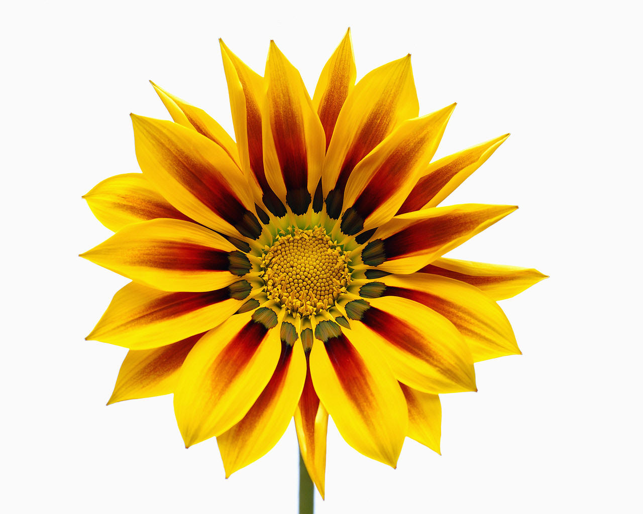 Turma B 2º Ano: Simetria