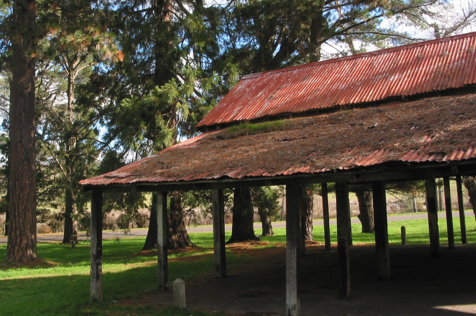 Gardener in the Distance...gardening and belonging in Ballarat.: Choof ...