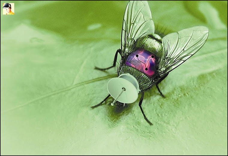 rapter0007: The hunt for a sixth generation fighter plane