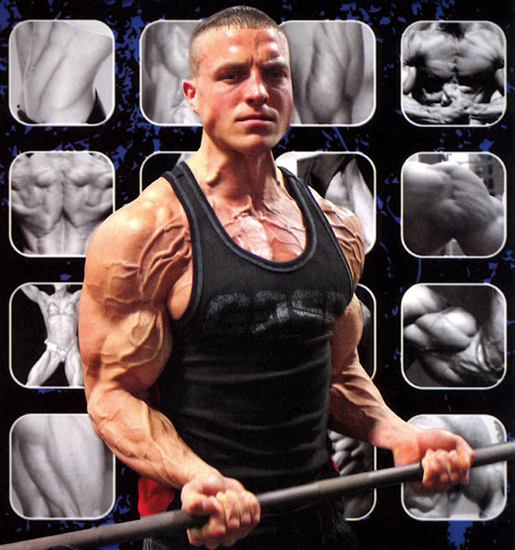 Bodybuilding Junction: Zack Dery américain, body, bras, bruns ...