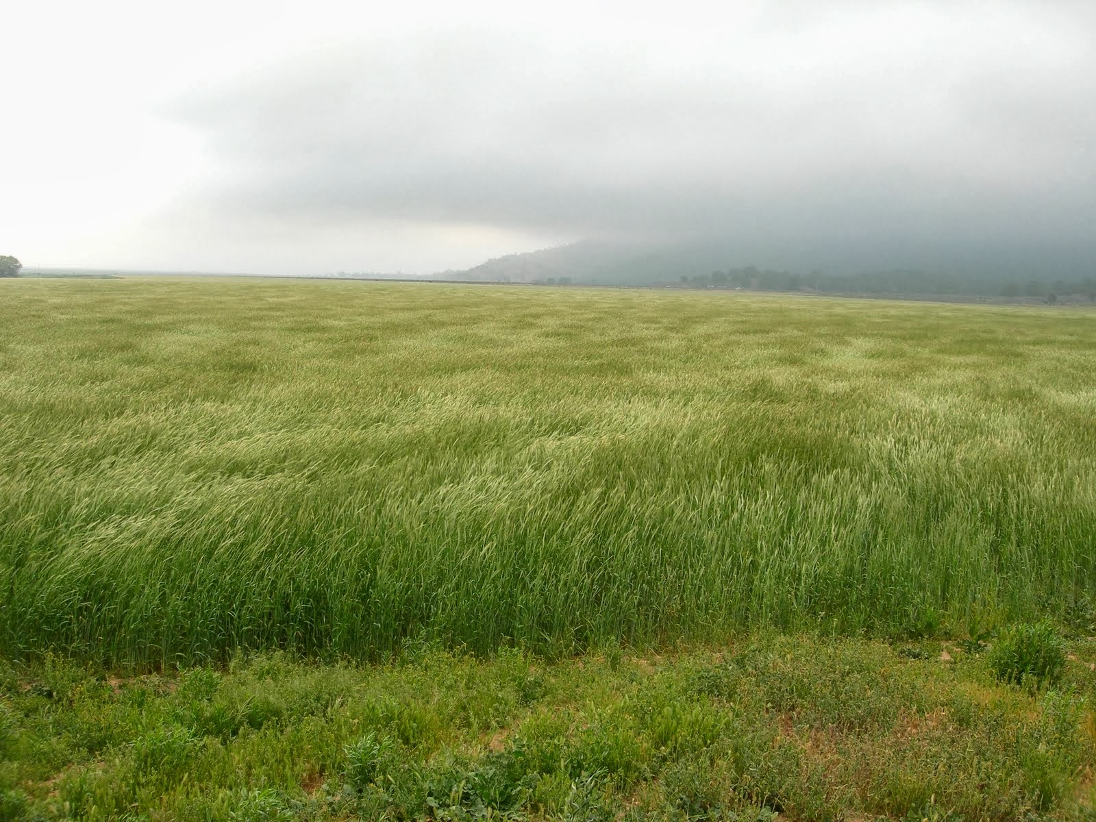 The BLDGtyp Blog: Making Of: Upstate NY House Rendering (Photoshop Part 01)