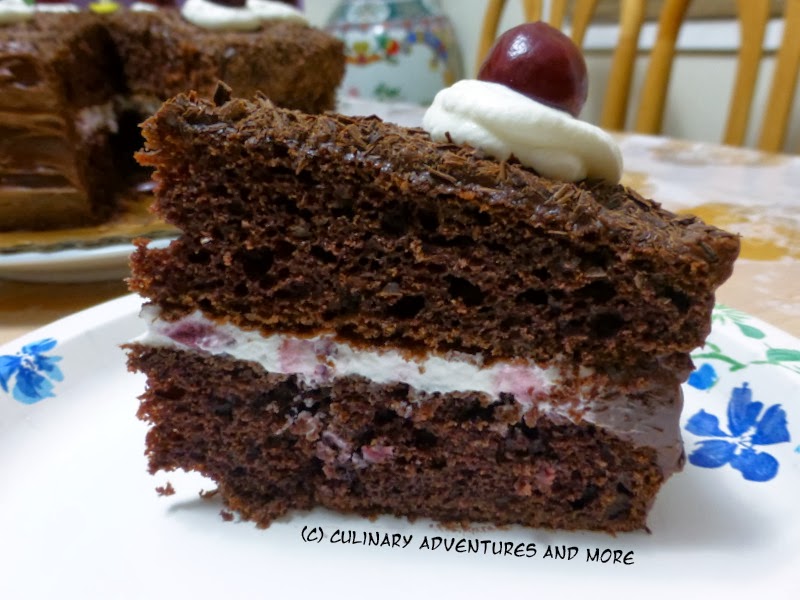 Culinary Adventures and More : Baking Adventure: Portal Cake (and Happy ...