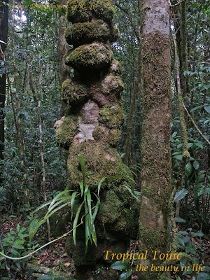 BunyipCo: March 2012