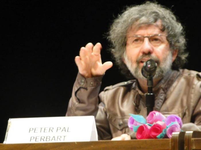 PICICA - blog do Rogelio Casado: Peter Pal Pelbart: livros para ...
