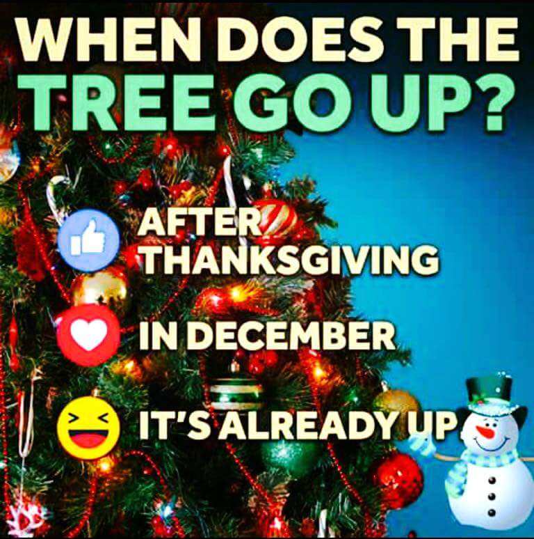 The Booga Wooga & Little Sister Sophia: December 2019