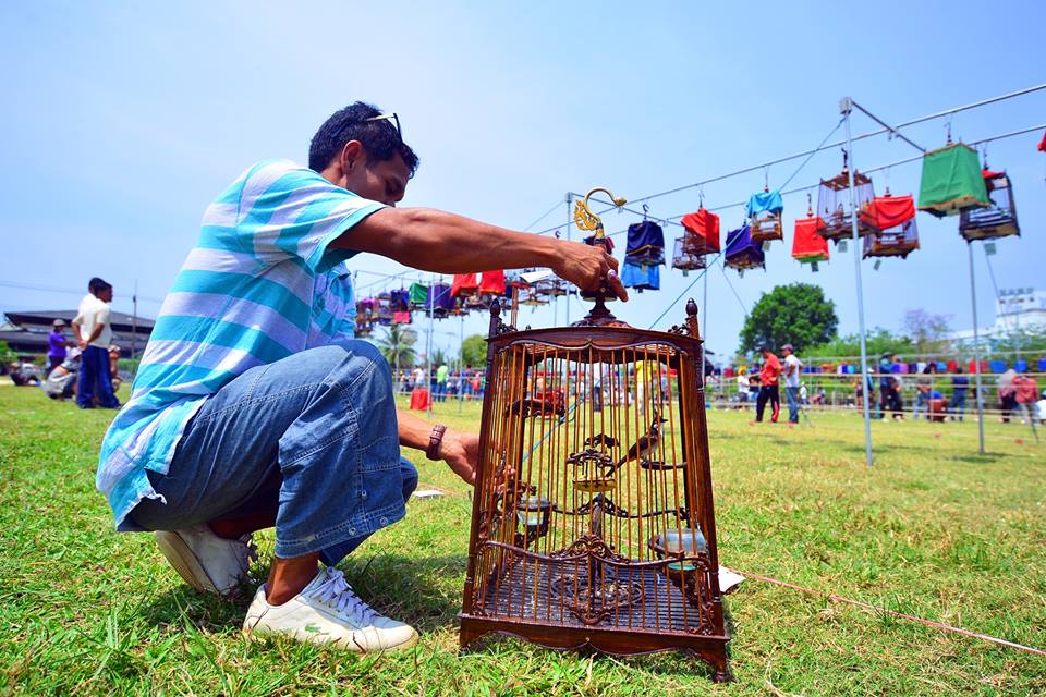 Janine Art Exhibition: งานมหกรรมแข่งขันนกเขาชวาเสียงอาเซียน:ASEAN ...