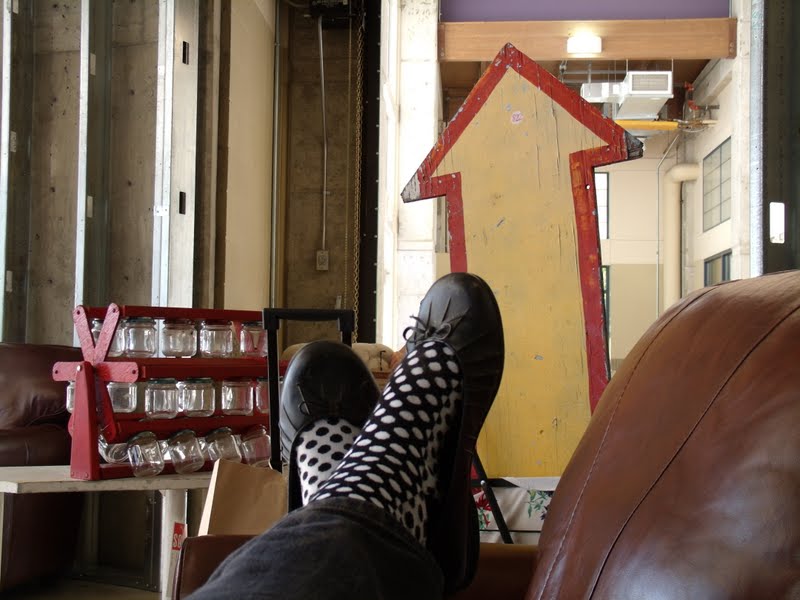 Pollyanna Reinvents: Fleaologists Disguised as Farm Chicks for Purposes ...