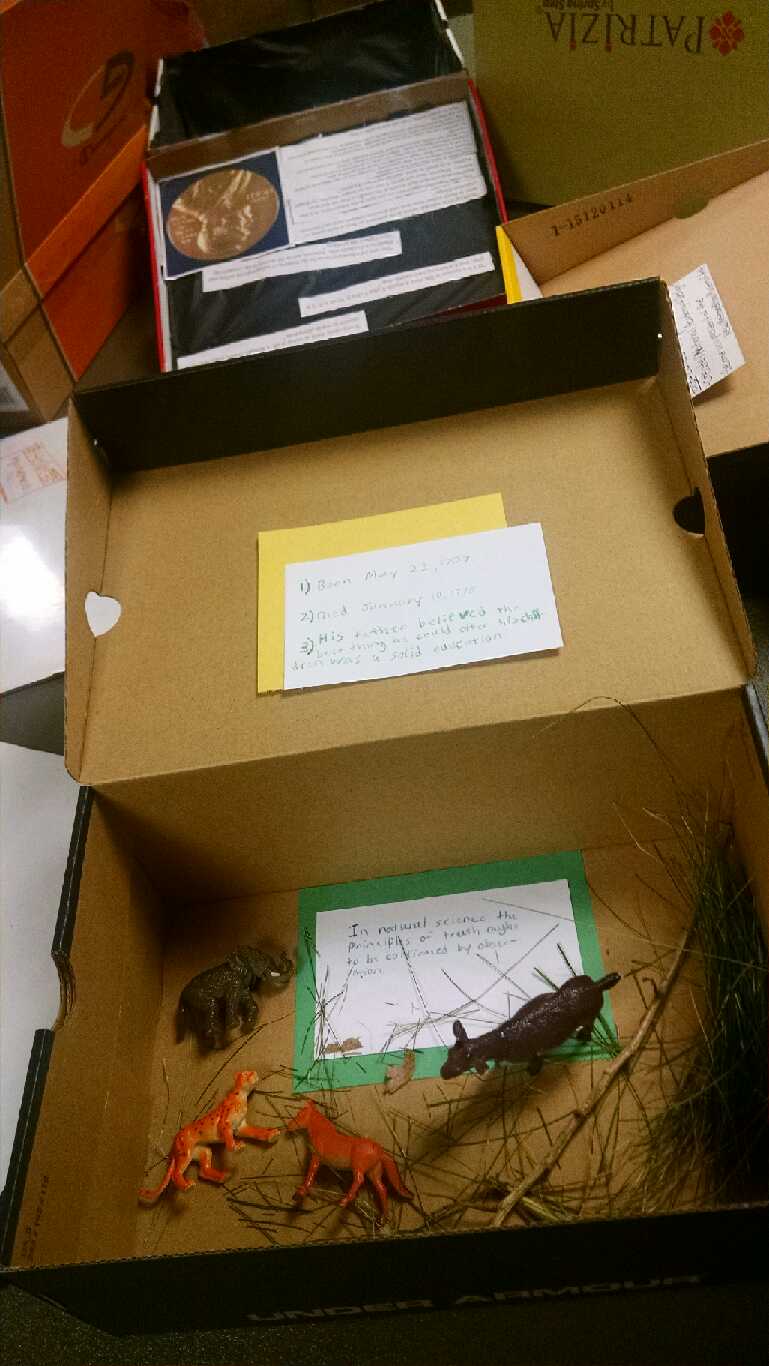 Golden Grasses: Shoebox Scientist - Challenge B