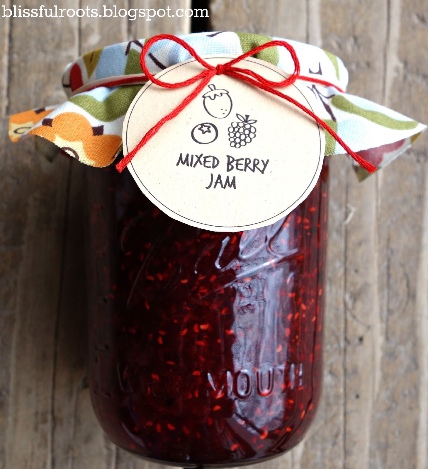 BLISSFUL ROOTS: Homemade Triple Berry Jam