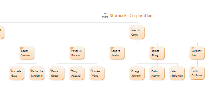 Business Organizational Chart Starbucks
