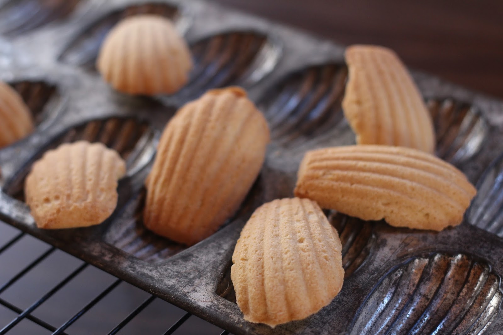 Vanilla Almond Polar Bear Claw Cookies – Diary of a Mad Hausfrau