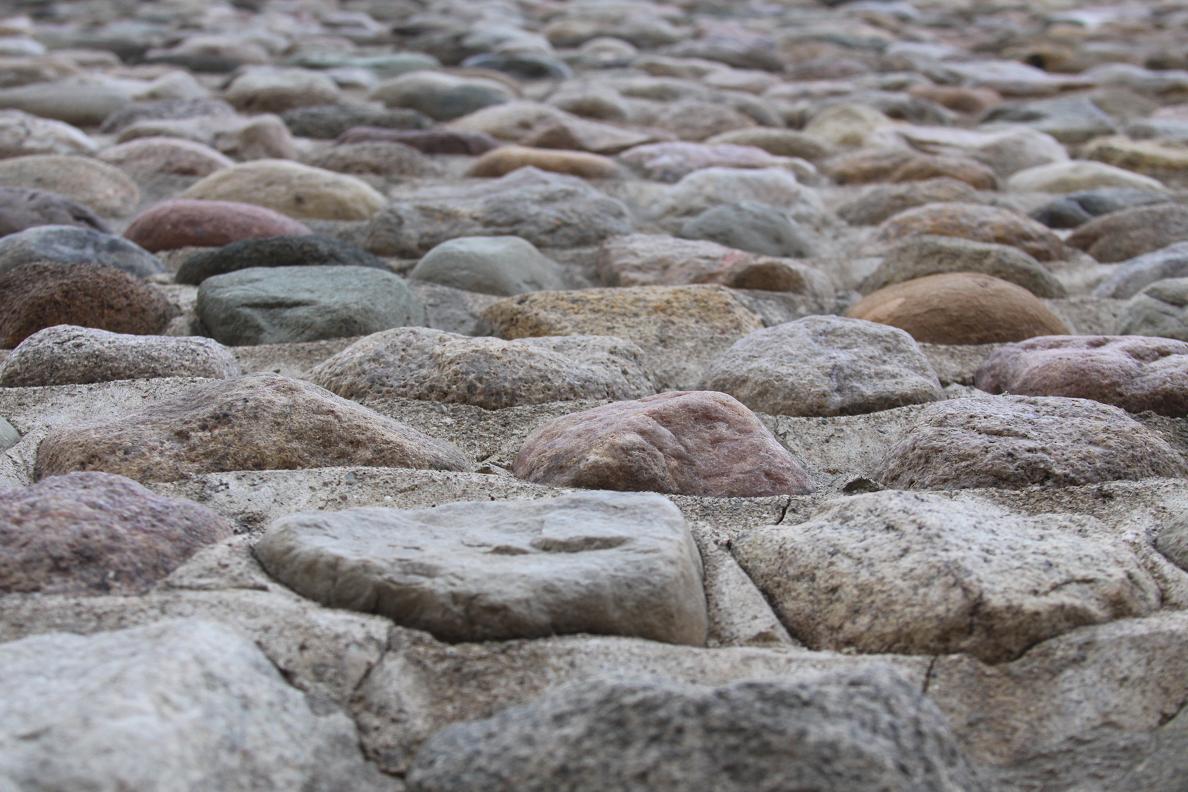 Michigan Exposures: The Cobblestone Farm - Ann Arbor