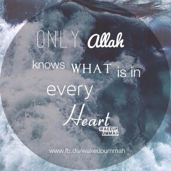 KAKCIK SEROJA: Only Allah Knows...