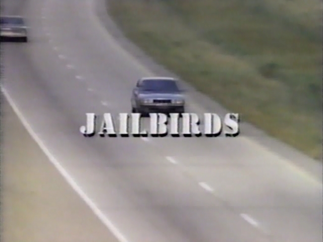 RARE AND HARD TO FIND TITLES - TV and Feature Film: Jailbirds (1991) TV ...
