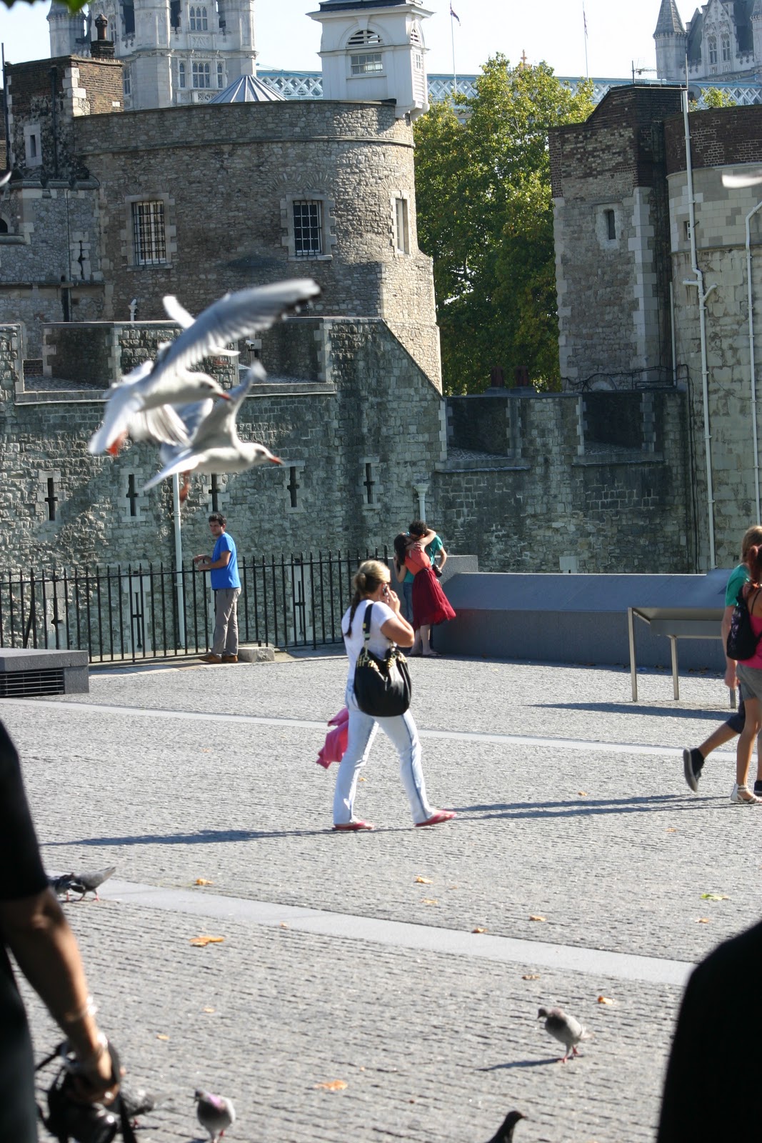 Lawrence Dodgson: January 2012