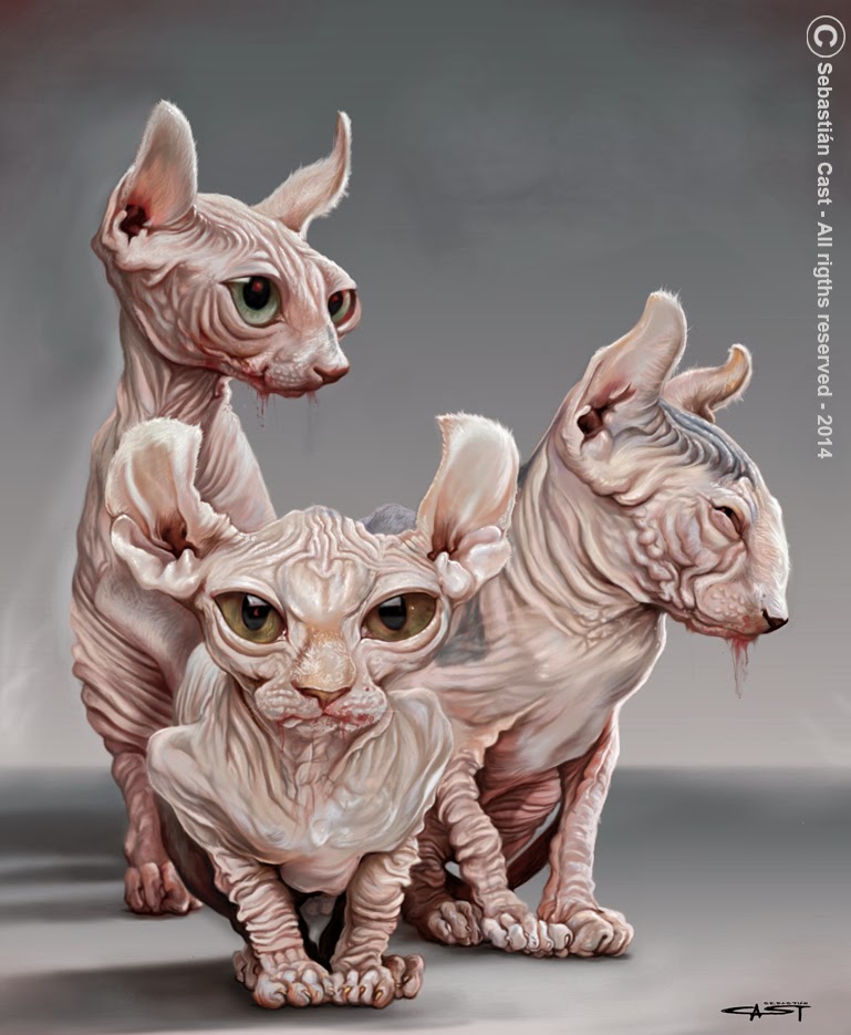 Sebastian Cast -Dibujante: gatos esfinge