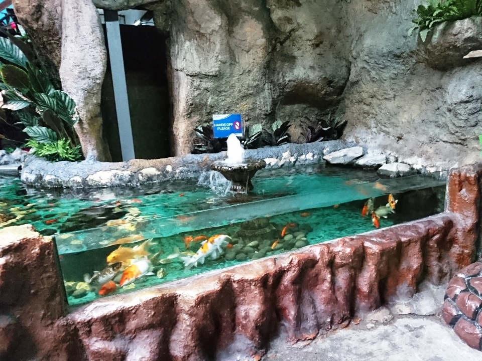 Juan Trip At A Time: Manila Ocean Park: A Guide to Exploring the Oceanarium