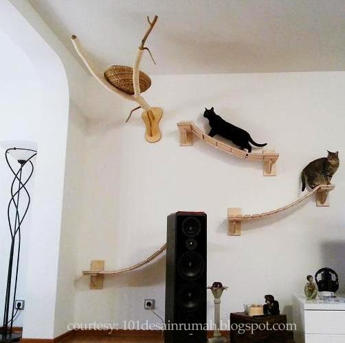 Desain Rumah Ideal: Mendesain Taman Bermain Untuk Kucing