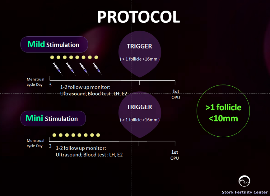 Double stimulation (Duo-OPU) | Stork Fertility Center