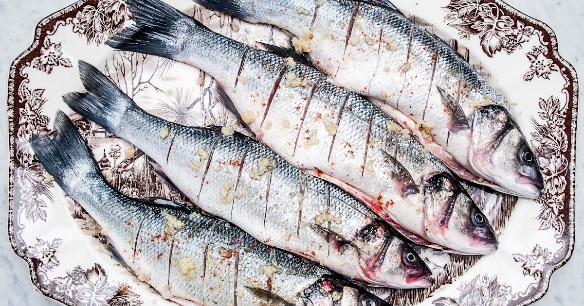 F for Food: Swimming Into the Spotlight.