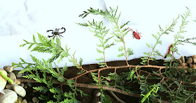 Simple Small Worlds: Insect World