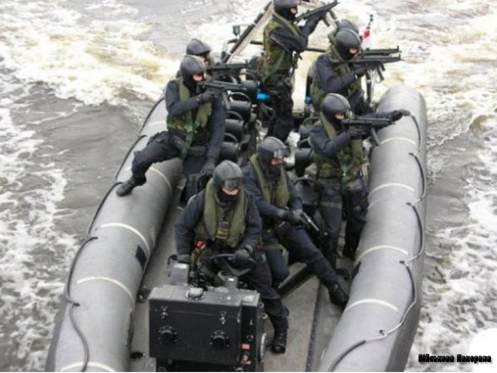 Naval Open Source INTelligence: Revealed: nearly half of Special Forces ...