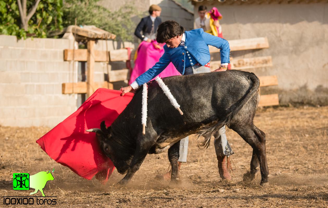 100x100 Toros: Clase práctica para la Escuela Taurina de Guadalajara en ...