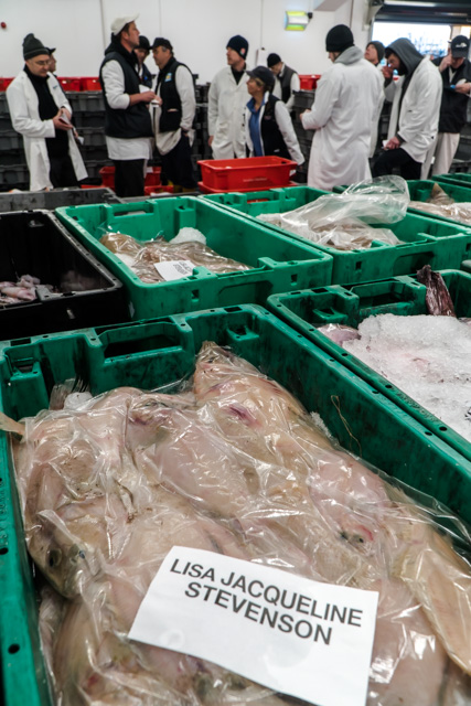 Through the Gaps! - Newlyn Fishing News: Monday morning fish market in ...