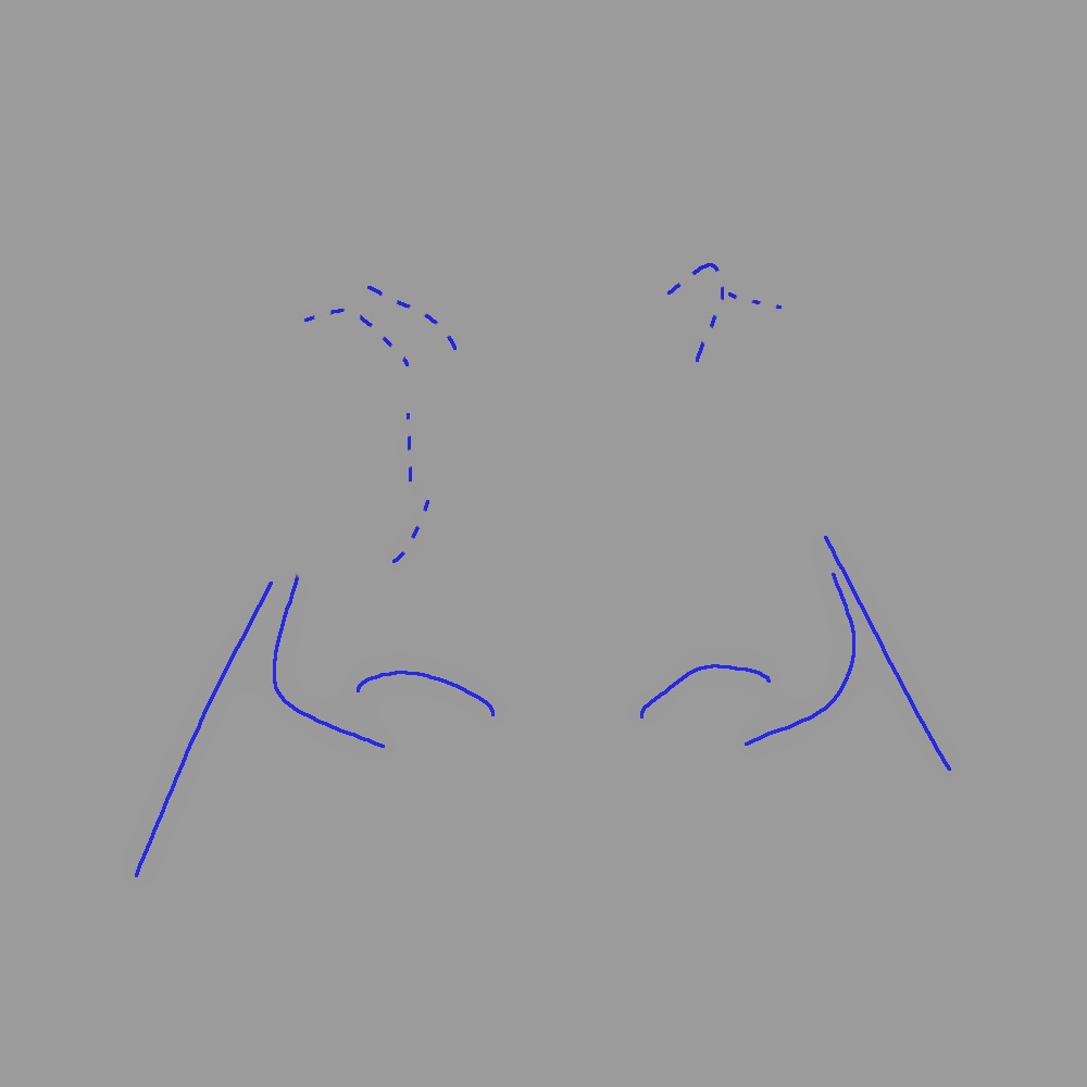facial references for animation: nose movement [outline]
