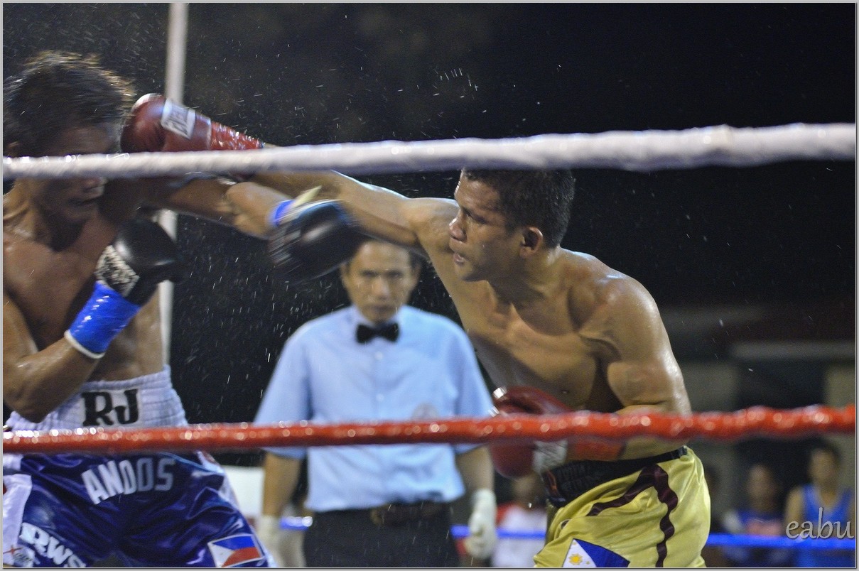 FrEsH aNd GrEeN: One Last Time Before The Bigtime, Aj Banal