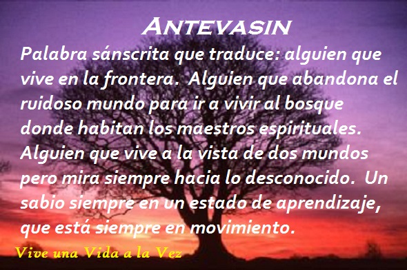 Vive una Vida a la Vez: ANTEVASIN Urbano