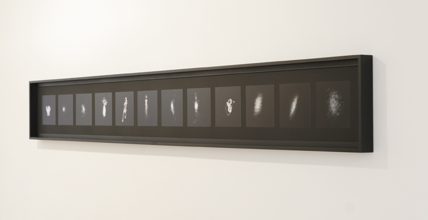 Oh, by the way...: BEAUTY: Art--Tim Knowles