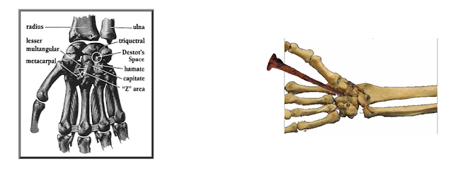 The Mysteries of the Rosary: The Shroud of Turin
